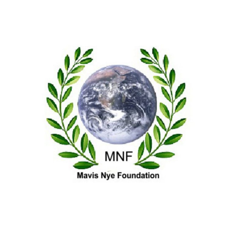 MAVIS NY FOUNDATION - Asbestonomy